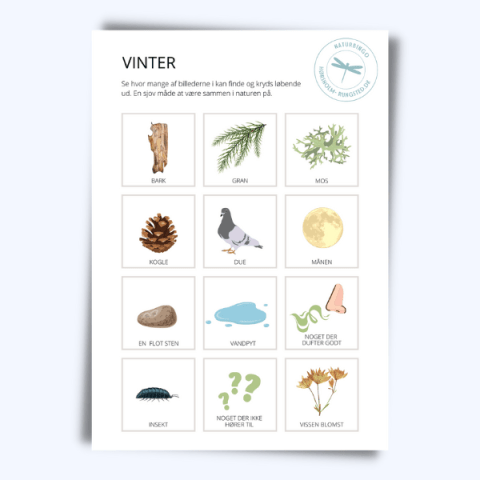 Oplev Naturbingo for hele familien i Hørsholm og Rungsted ♥